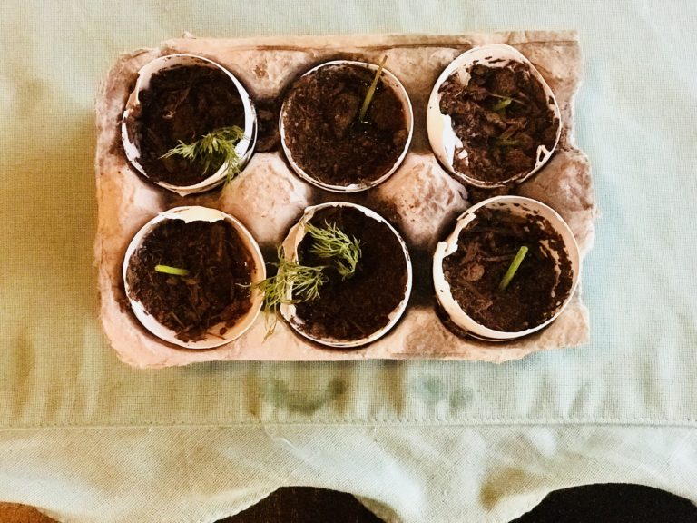 Earth Day Crafts ~ Teach Your Kids to Reduce, Reuse, & Recycle! - Mom ...