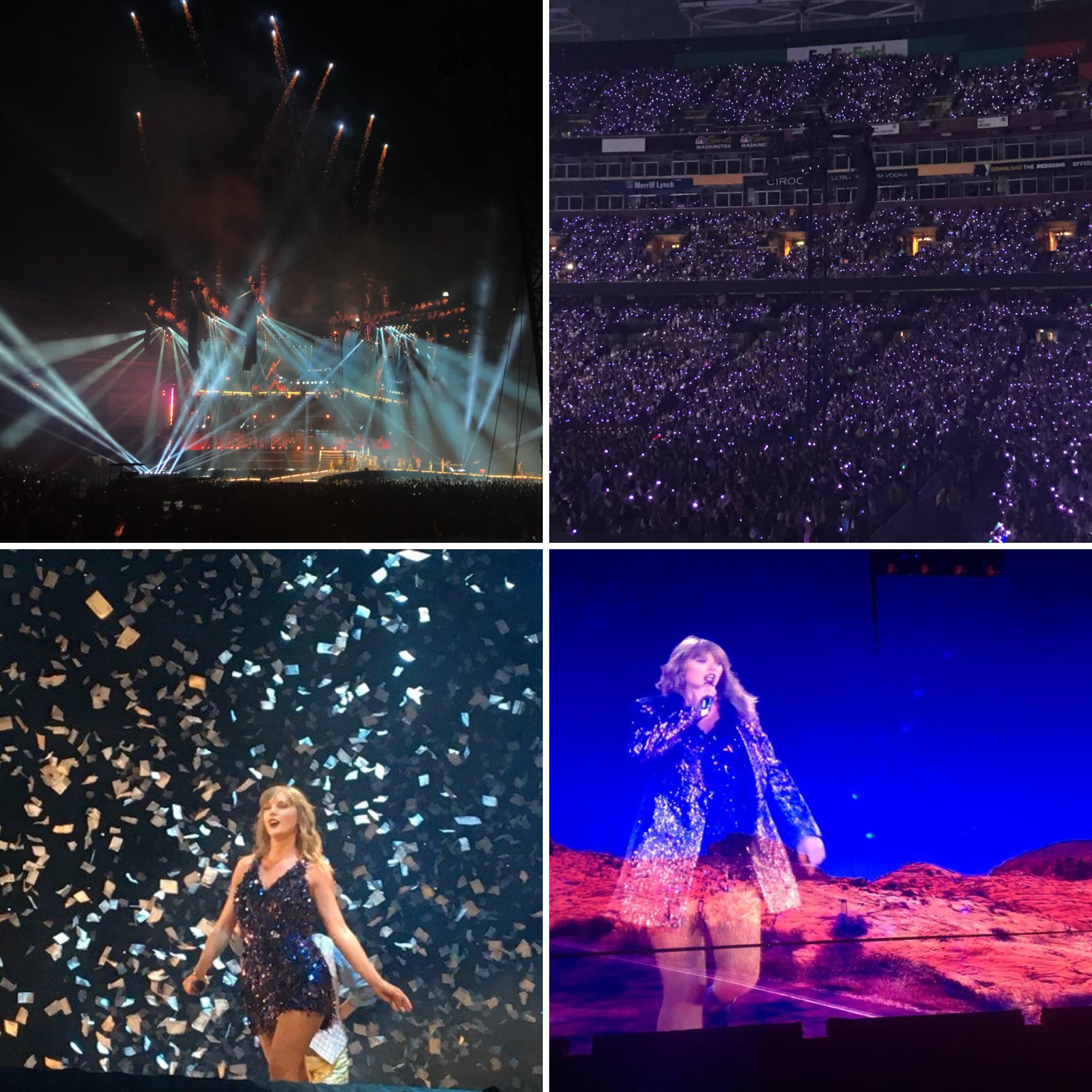 Reputation Stadium Tour~A Stunning Spectacular! - Mom the Magnificent