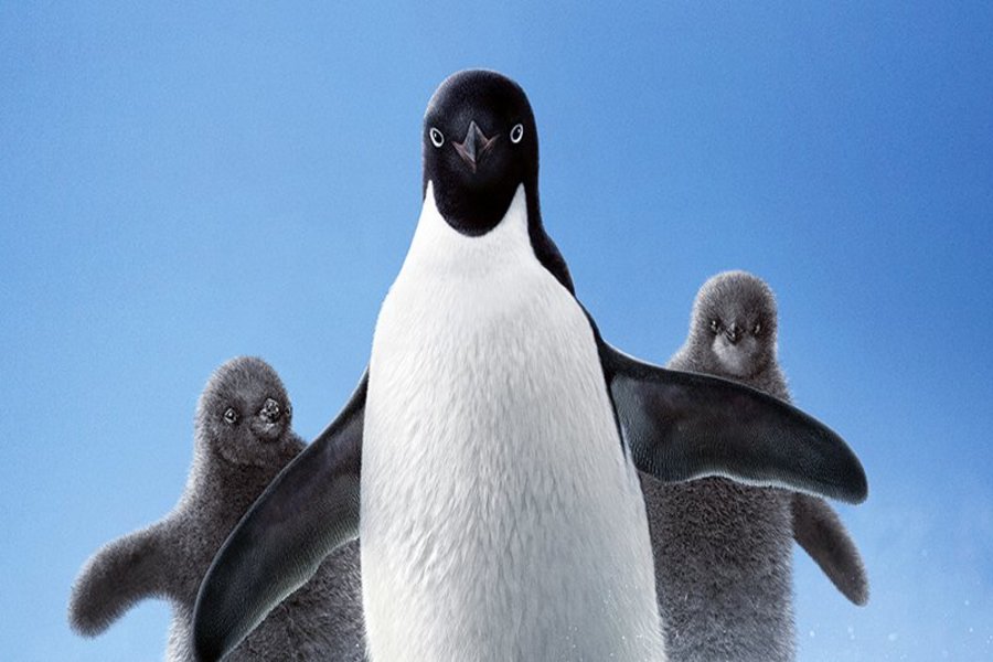 See Disneynature's PENGUINS - Giveaway! - Mom the Magnificent