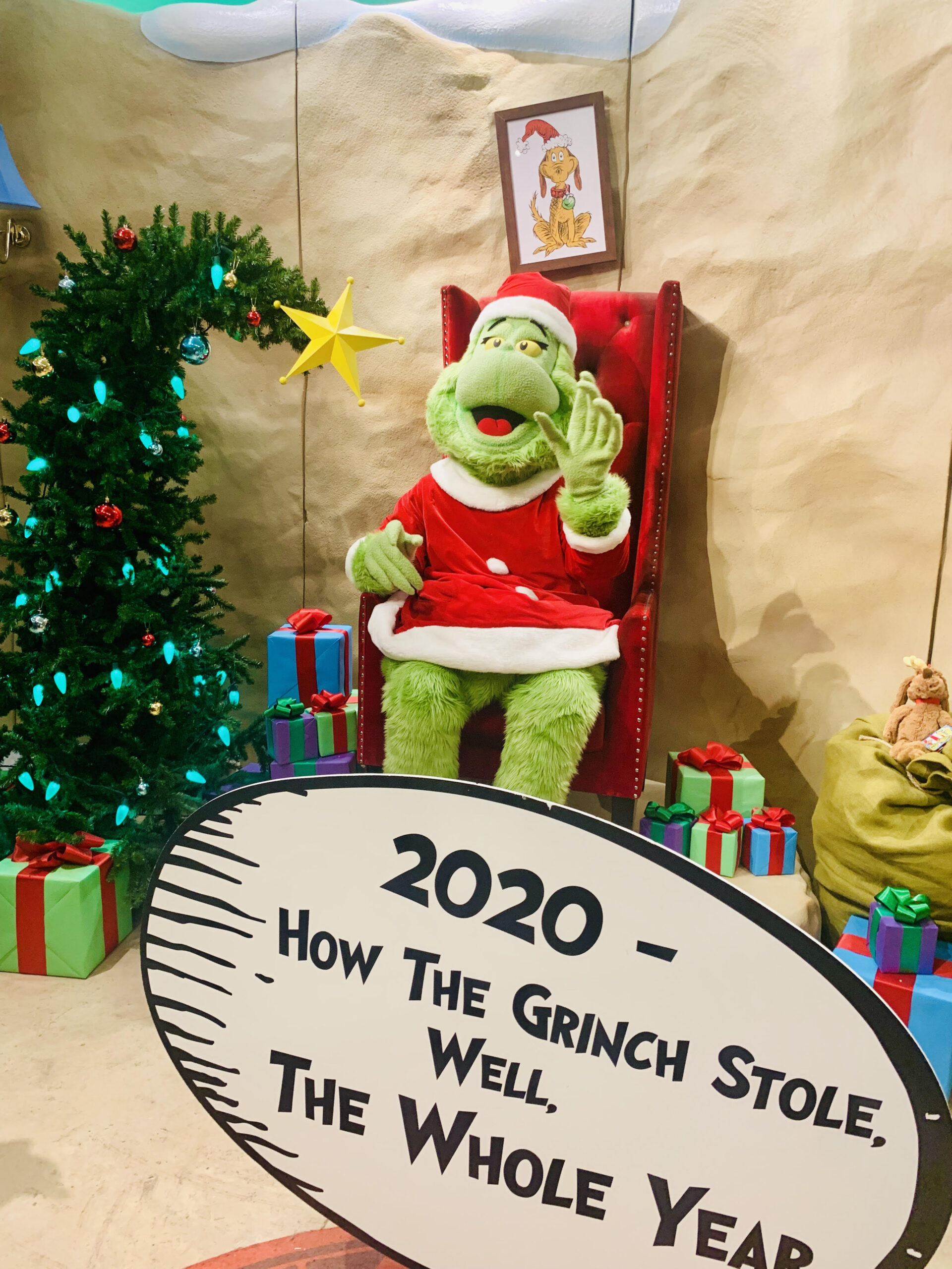 Visit The Grinch to Un-Celebrate 2020 - Mom the Magnificent