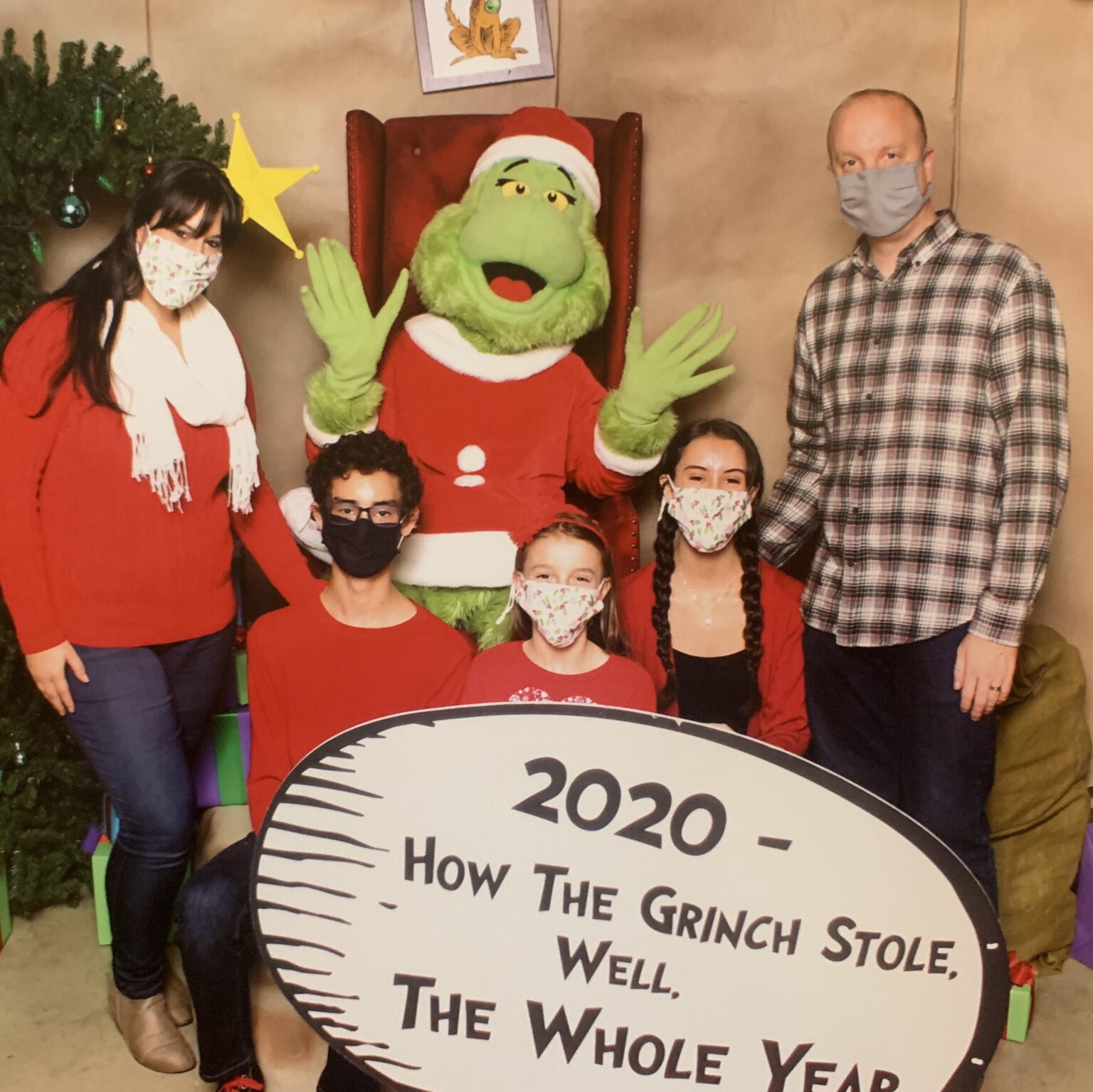 Visit The Grinch to Un-Celebrate 2020 - Mom the Magnificent